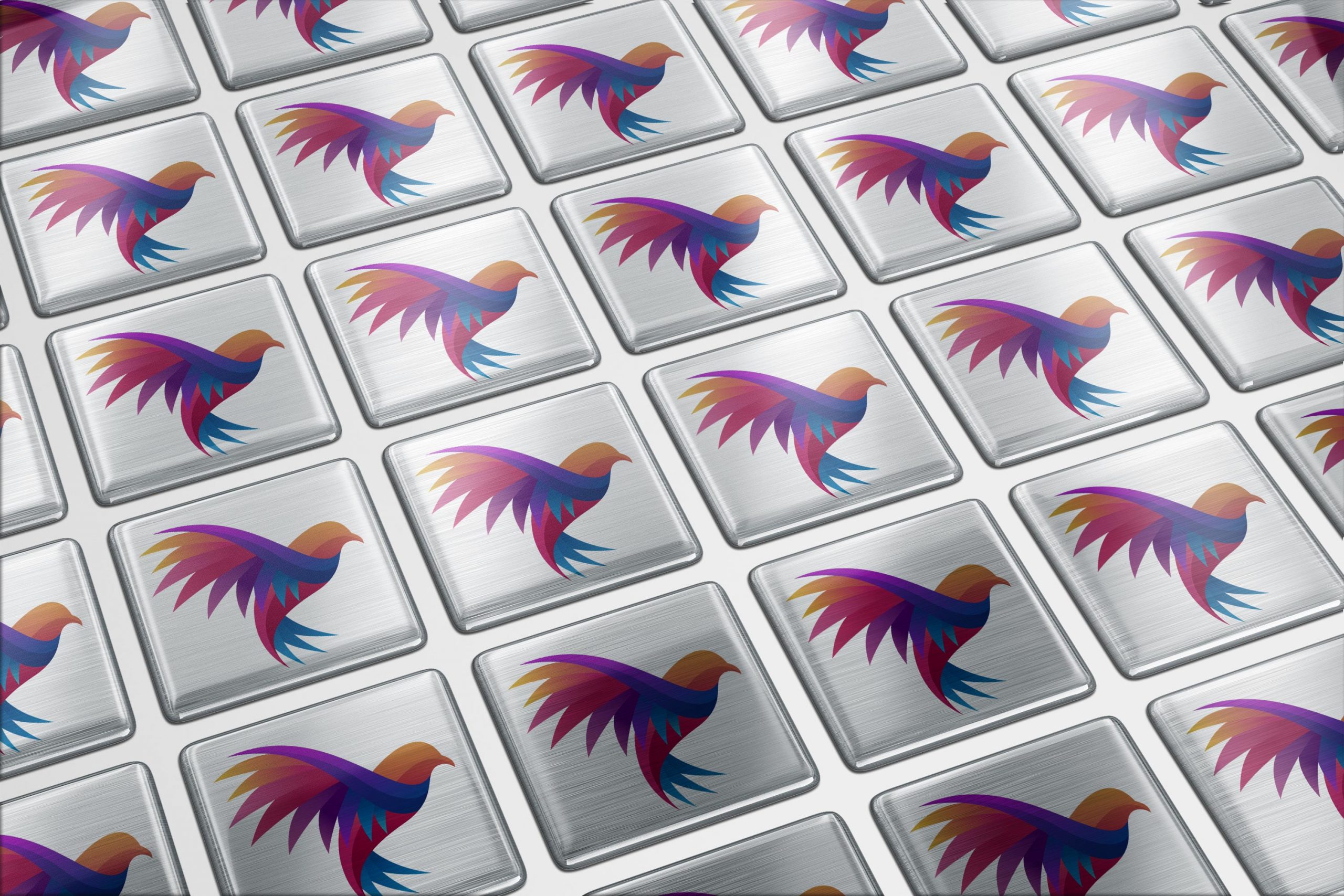 About Us Doming Resin Specialists | Doming Lab